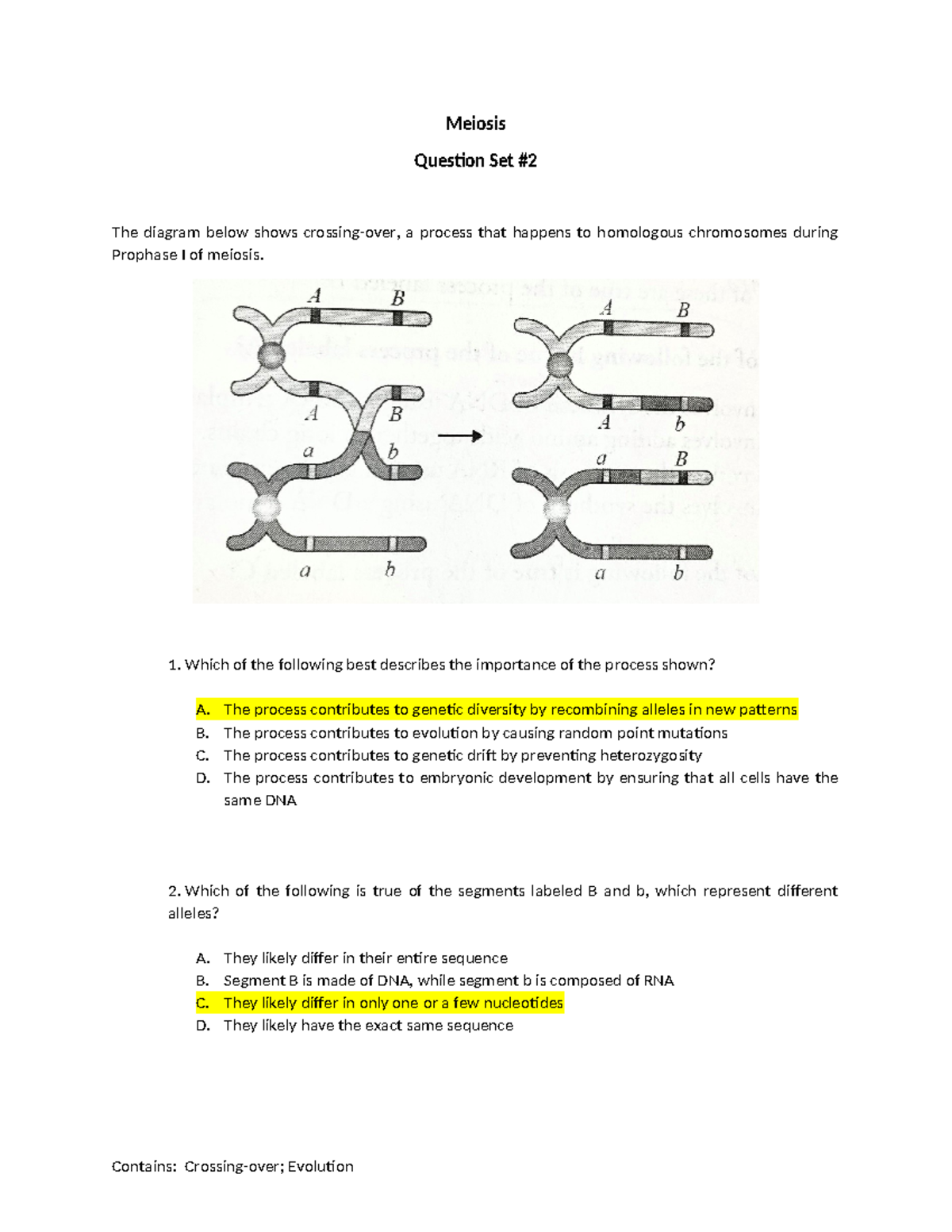 Meiosis+-+Question+Set+#2 - Meiosis Question Set The diagram below ...