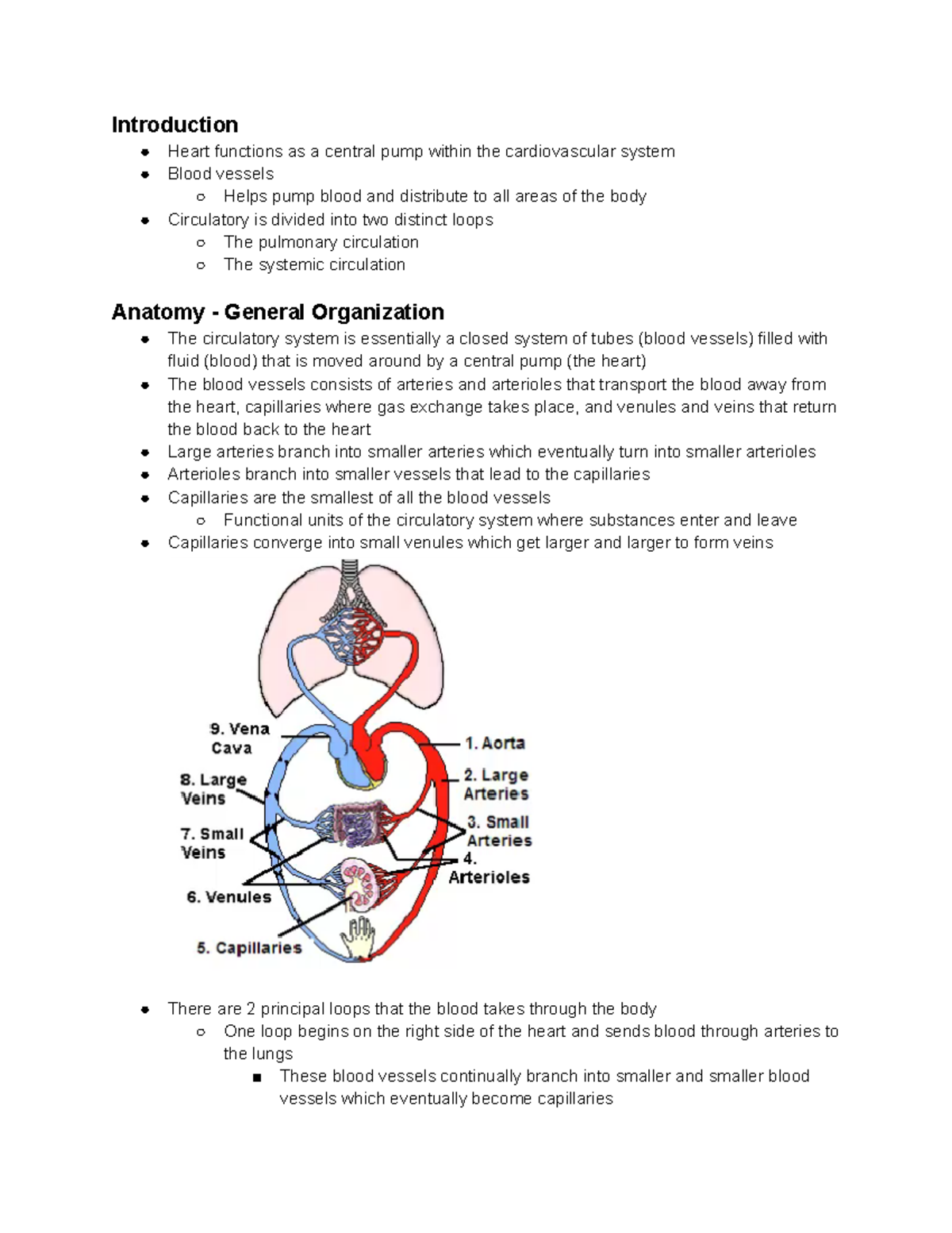 Module 9 Circulatory System - Vasculature - Introduction Heart ...