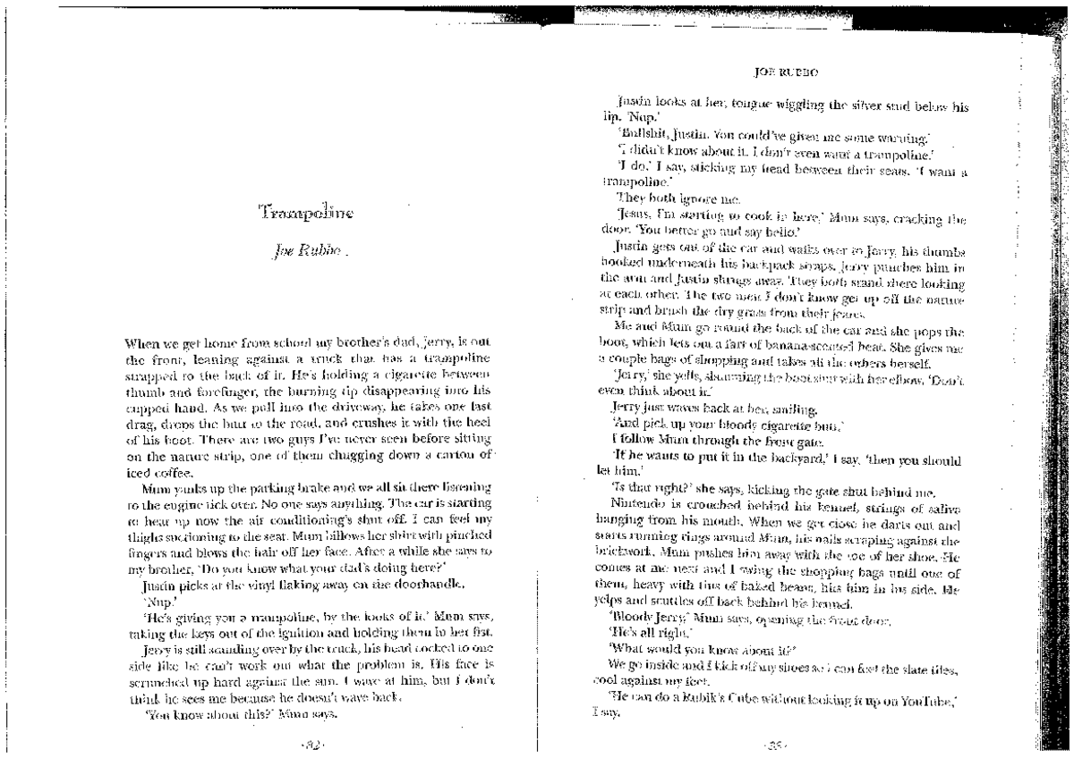 Trampoline by Joe Rubbo (copy) - 'When we get home from school my ...