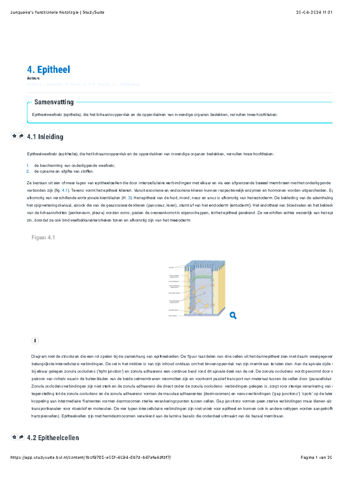 H4 Epitheelweefsel Junqueira's functionele histologie - 4. Epitheel ...