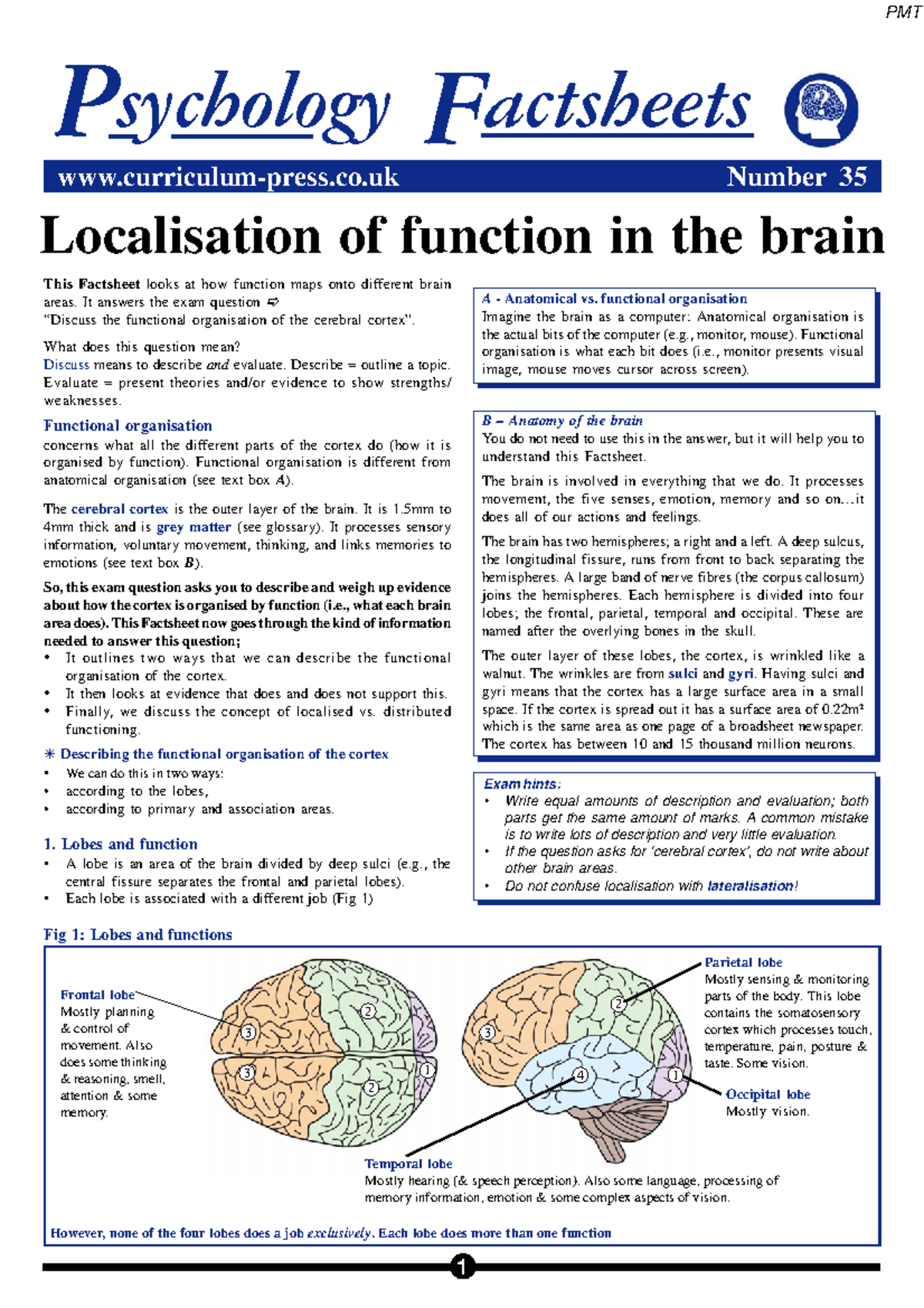 Brain Localisation-Localisation of function in the brain - Localisation ...