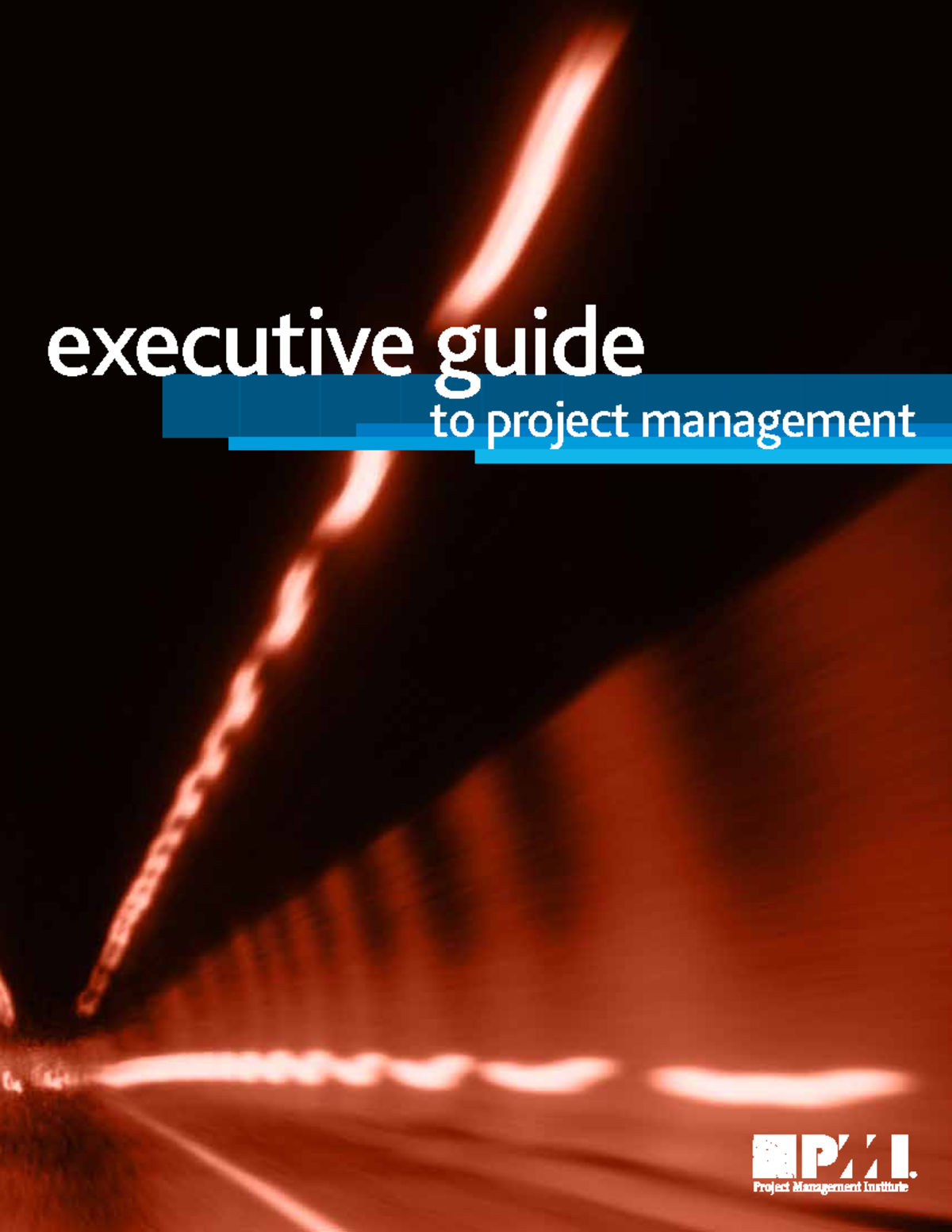 Executive guide to project management - 1 EXECUTIVE GUIDE WWW.PMI to ...