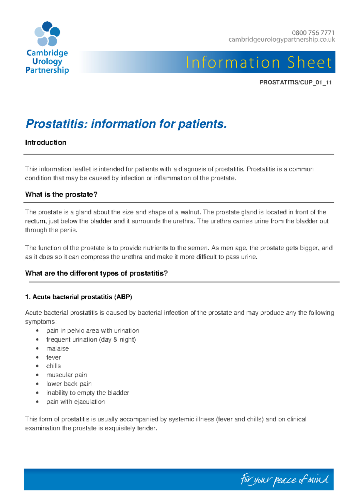 Prostatitis information sheet - Prostatitis: information for patients ...