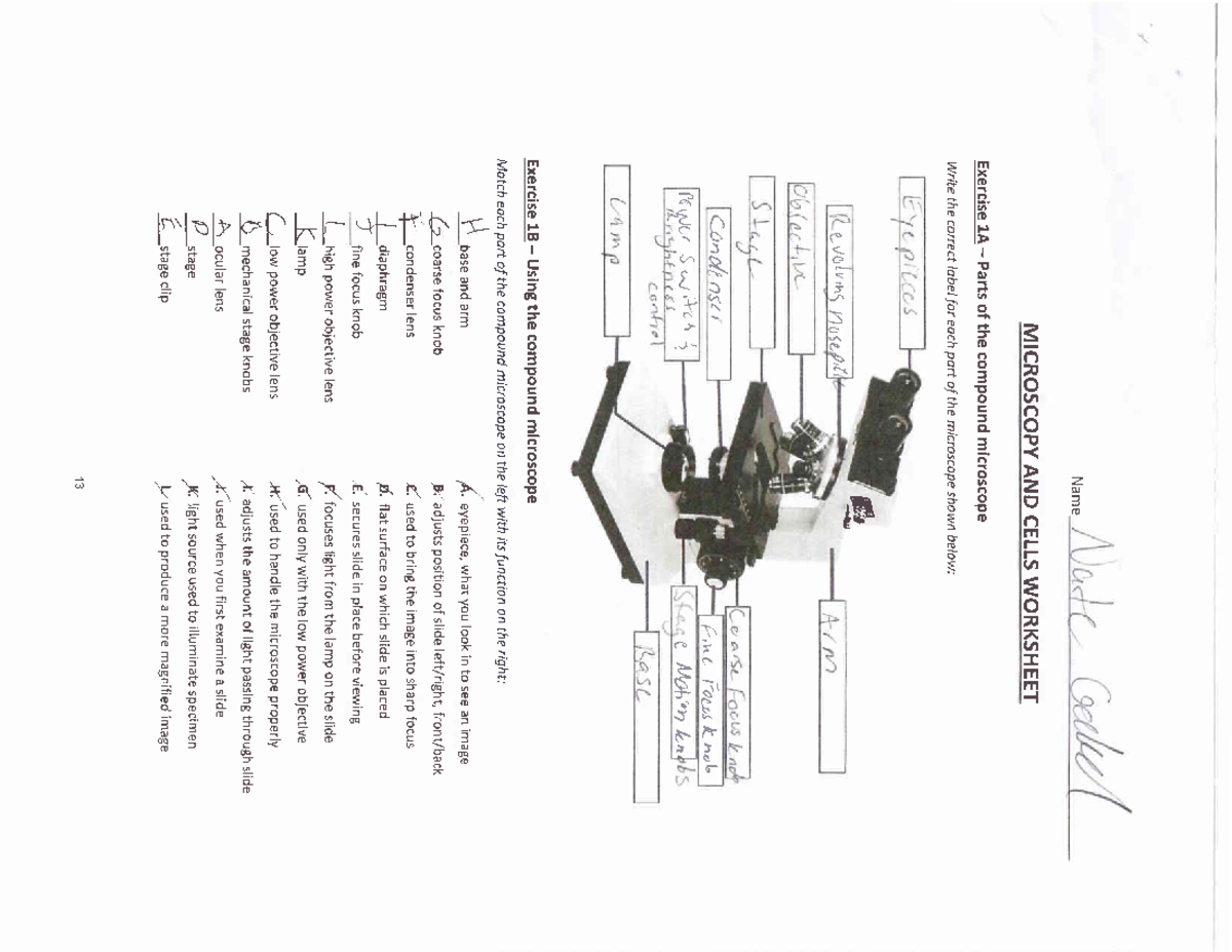 Biology Lab Worksheet - sdf - BIOS 1010 - Studocu