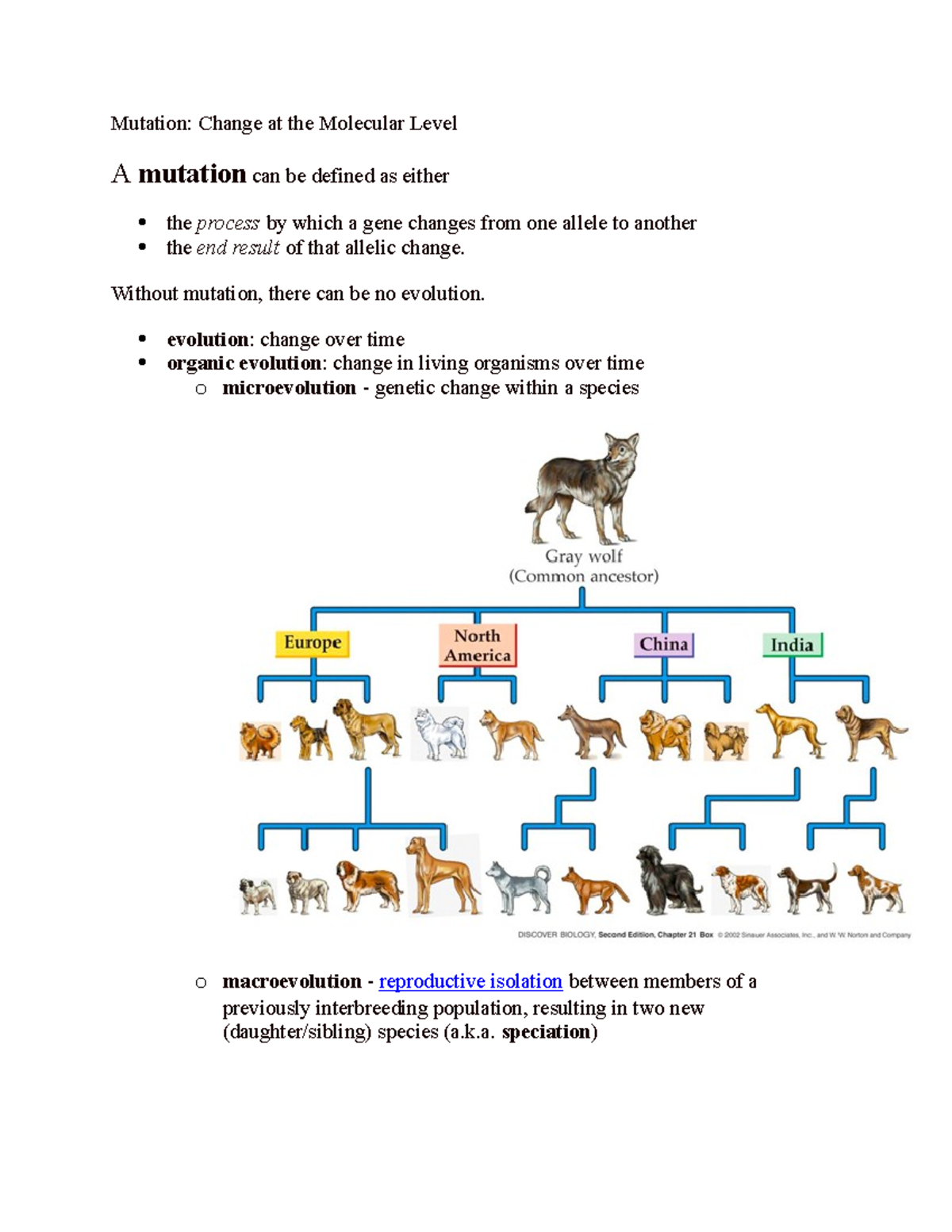 Lecture 14 - Mutation at the Molecular Level (Chapter 16) - Mutation: Change at the Molecular ...