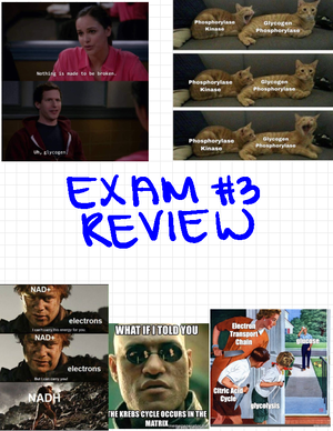 Practical, Module 2-7 - Problems Module BIO 337 Spring 2014 NO2 1. You ...