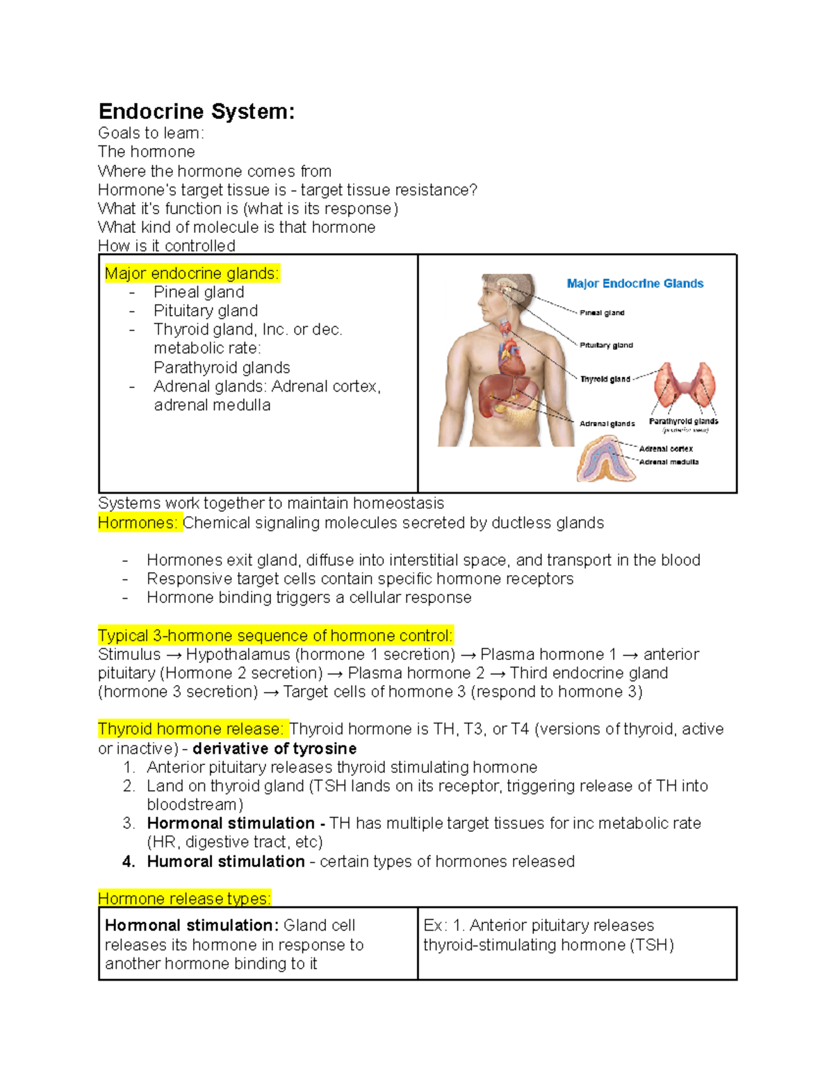 BIO 245 - Endocrine - Taught by Lisa Parks - Endocrine System: Goals to learn: The hormone Where ...