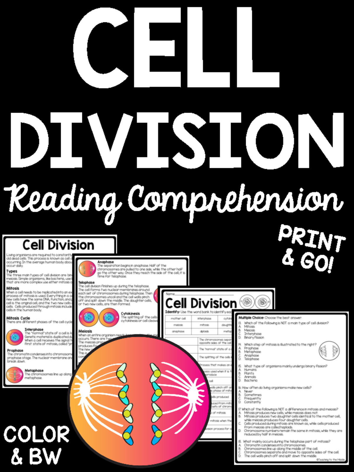 Cell Division - bio cell divsion - Reading Comprehension CELL DIVISION ...