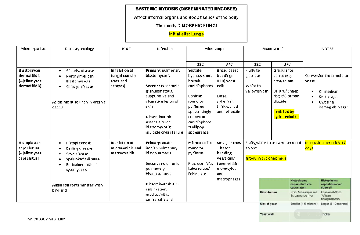 Myco Viro - Systemic Fungi (Midterm) - MYCOLOGY MIDTERM RMT, 2022 ...