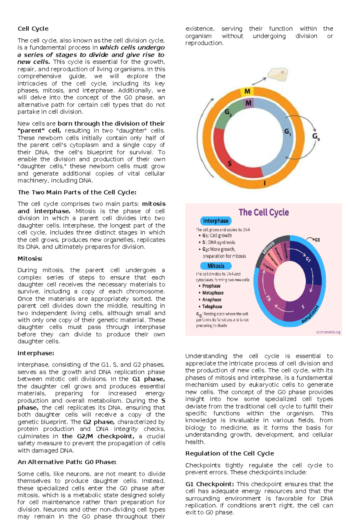 Cell Cycle - Reviewer - Cell Cycle The cell cycle, also known as the ...