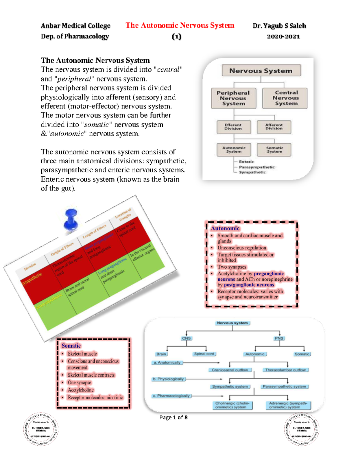 The Autonomic Nervous System - Dep. of Pharmacology (1) 2020 - 2021 The ...
