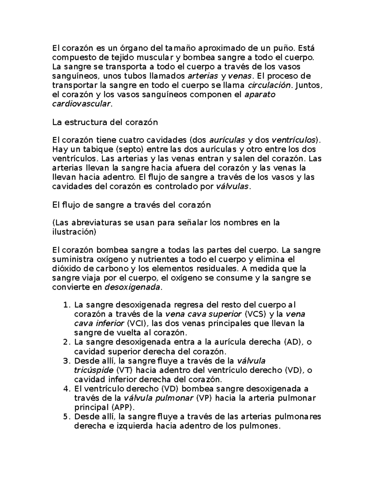 Corazon - El corazón es un órgano del tamaño aproximado de un puño ...