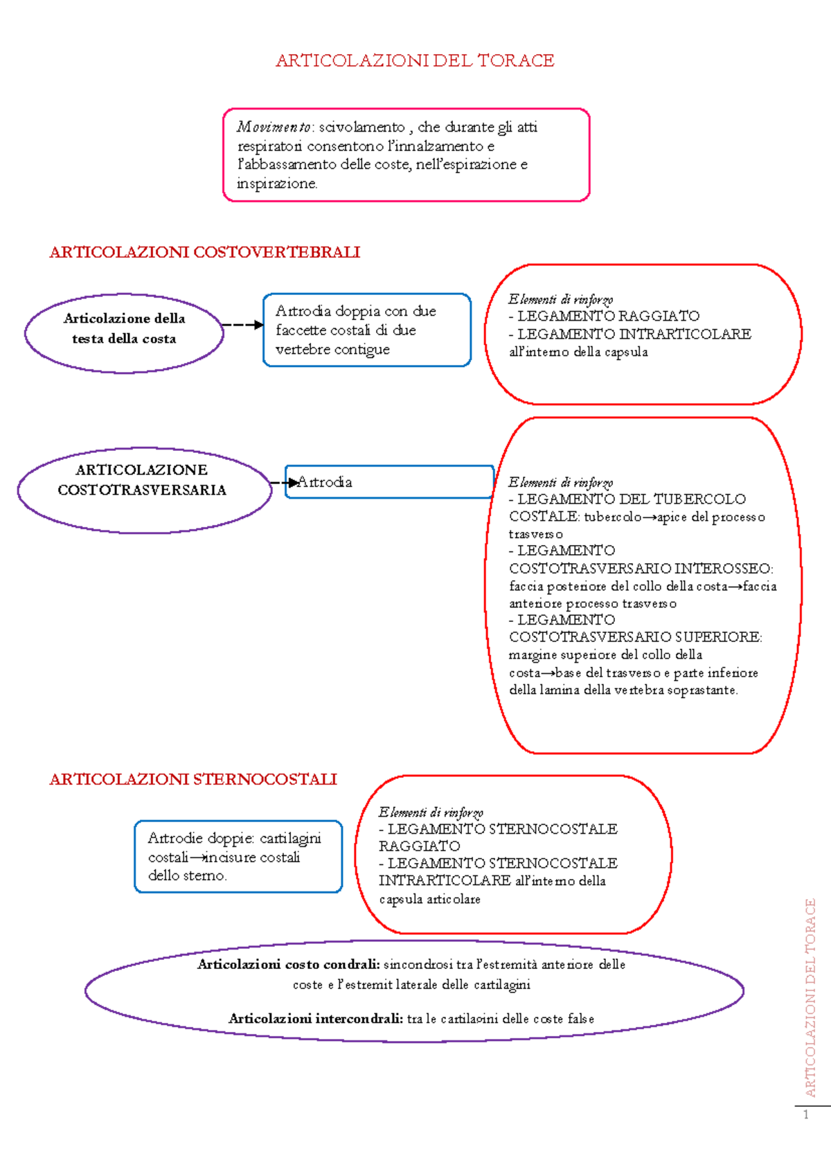 Anatomia I schemi apparato locomotore [Io anno appunti] - ARTICOLAZIONI DEL TORACE 1 ...