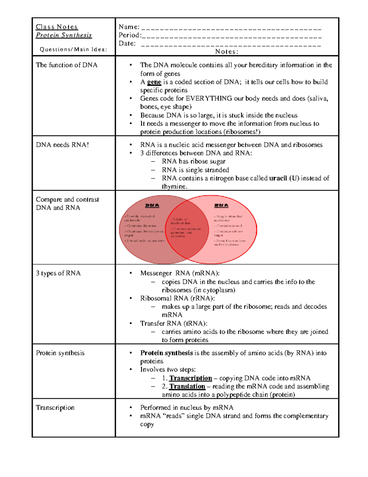 Protein Synthesis - Clas s N o te s Protein Sy nthesis Qu e s tio n s ...