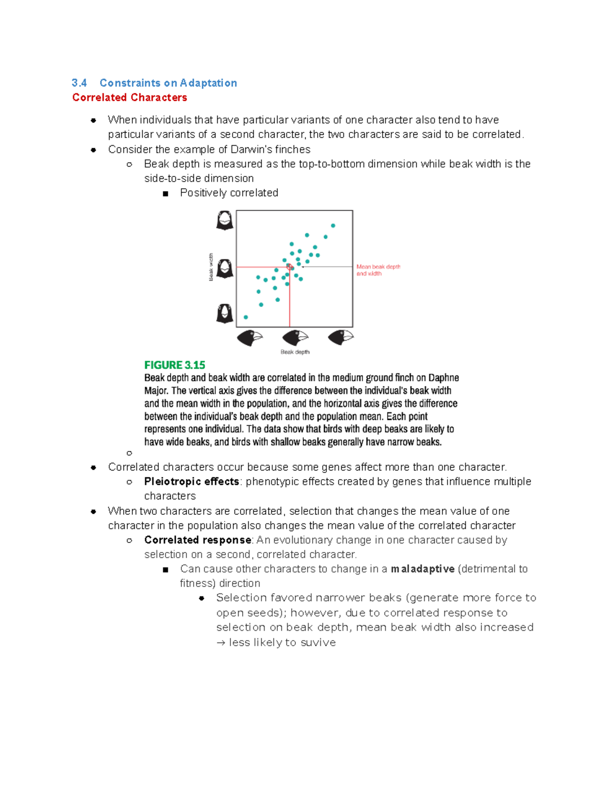 Constraints on Adaptation - 3 Constraints on Adaptation Correlated ...