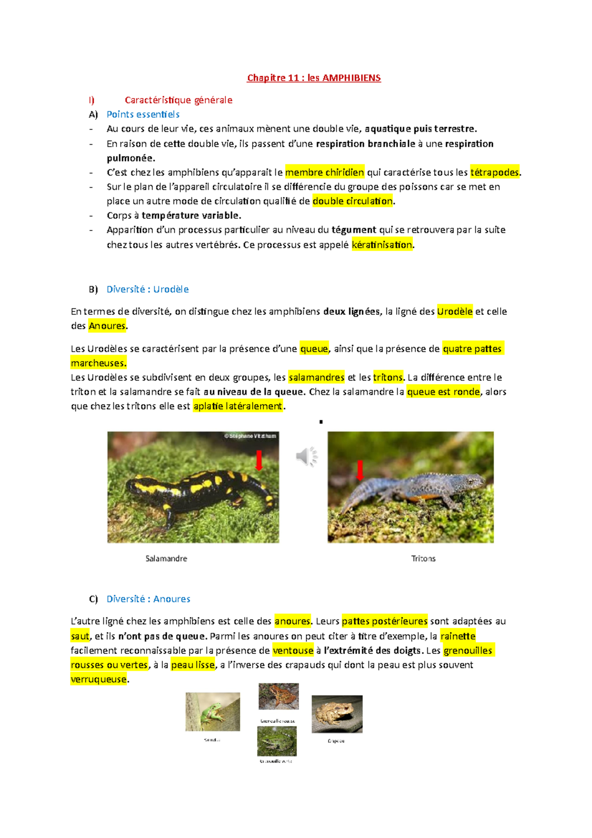Chap11 Amphibiens - Cours complet - Chapitre 11 : les AMPHIBIENS I ...