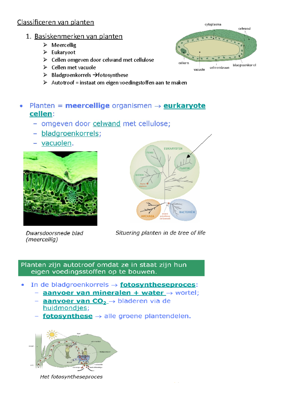 Classificeren van planten, thema 3, biogenie 4.1. - Classificeren van ...