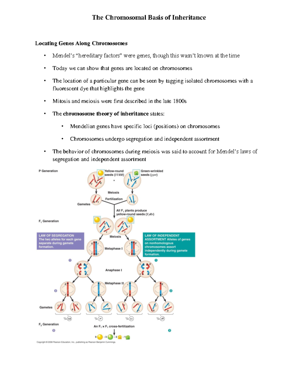 The Chromosomal Basis of Inheritance bio2000 lecture 12 - The ...