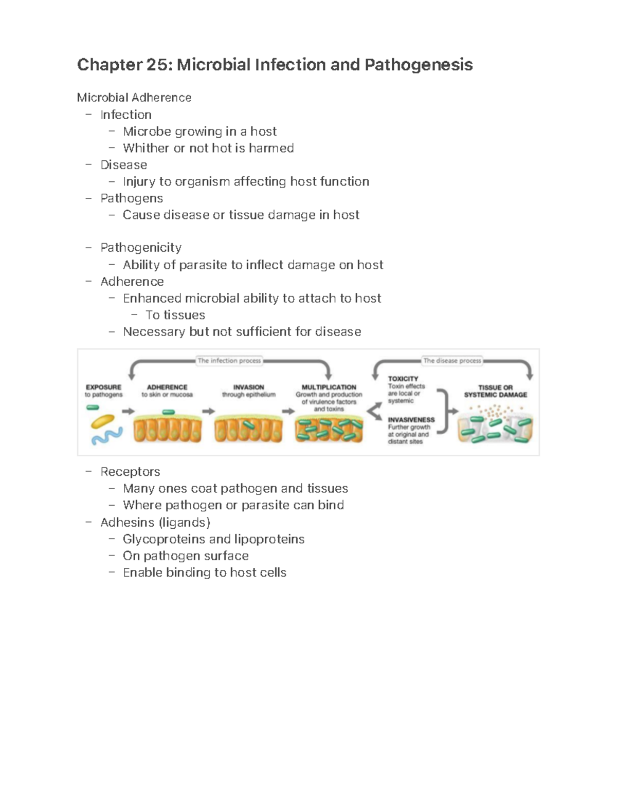 Chapter 25- Microbial Infection and Pathogenesis