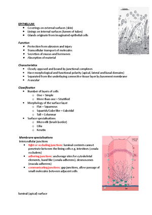 Histology. Gross description of specimen. - Write a gross description ...