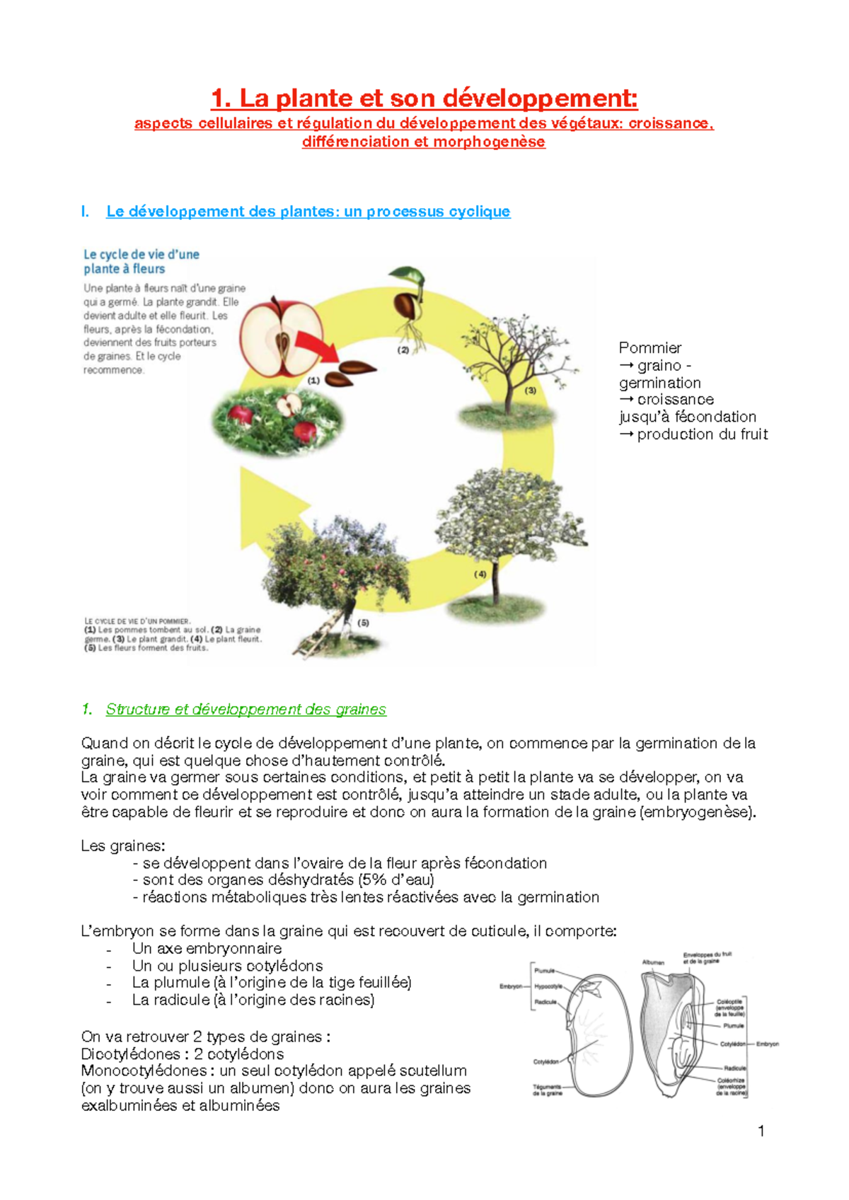 1. La plante et son développement - 1. La plante et son développement ...