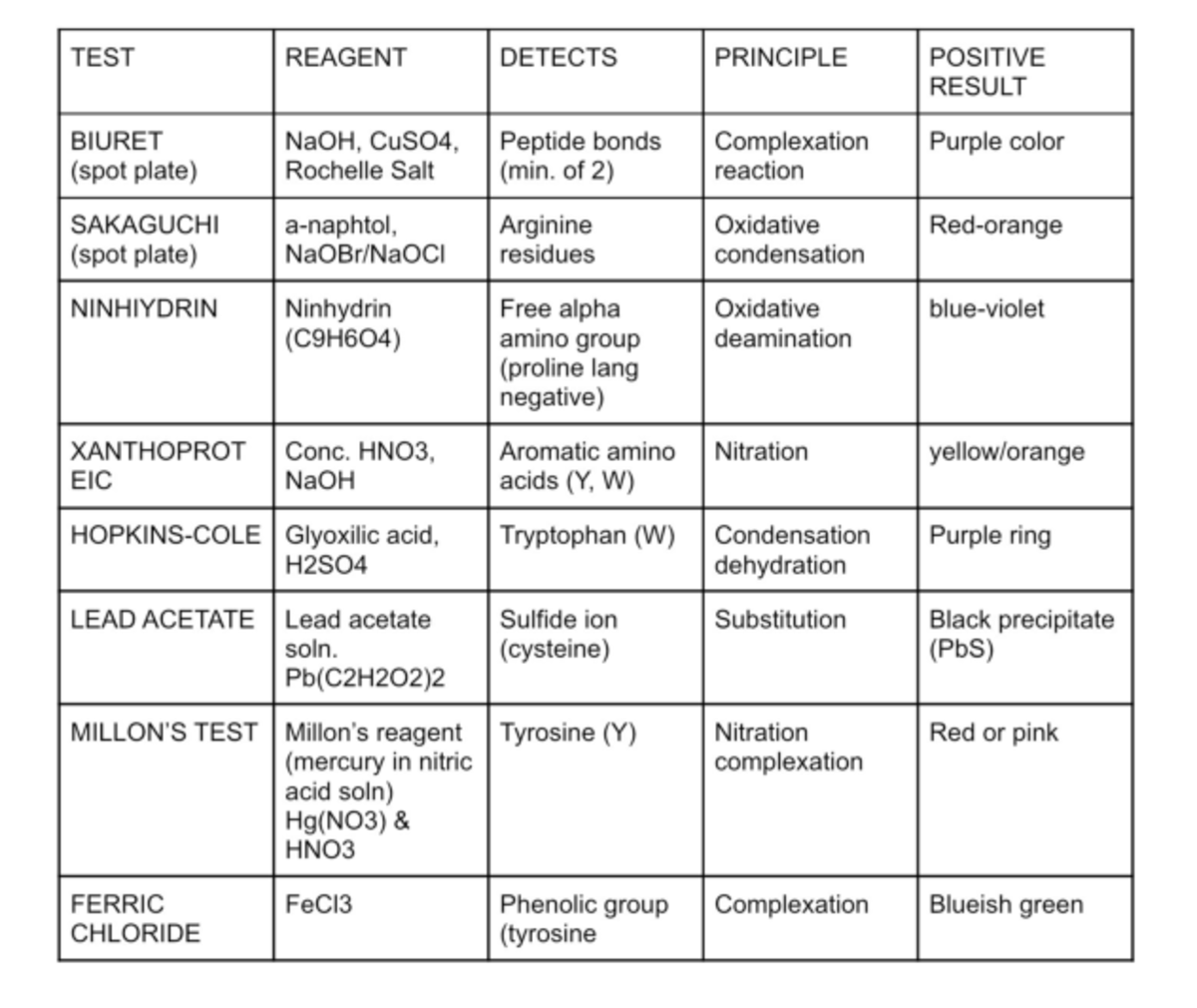 Summary of Proteins LAB - General Test detects reagents reactions ...