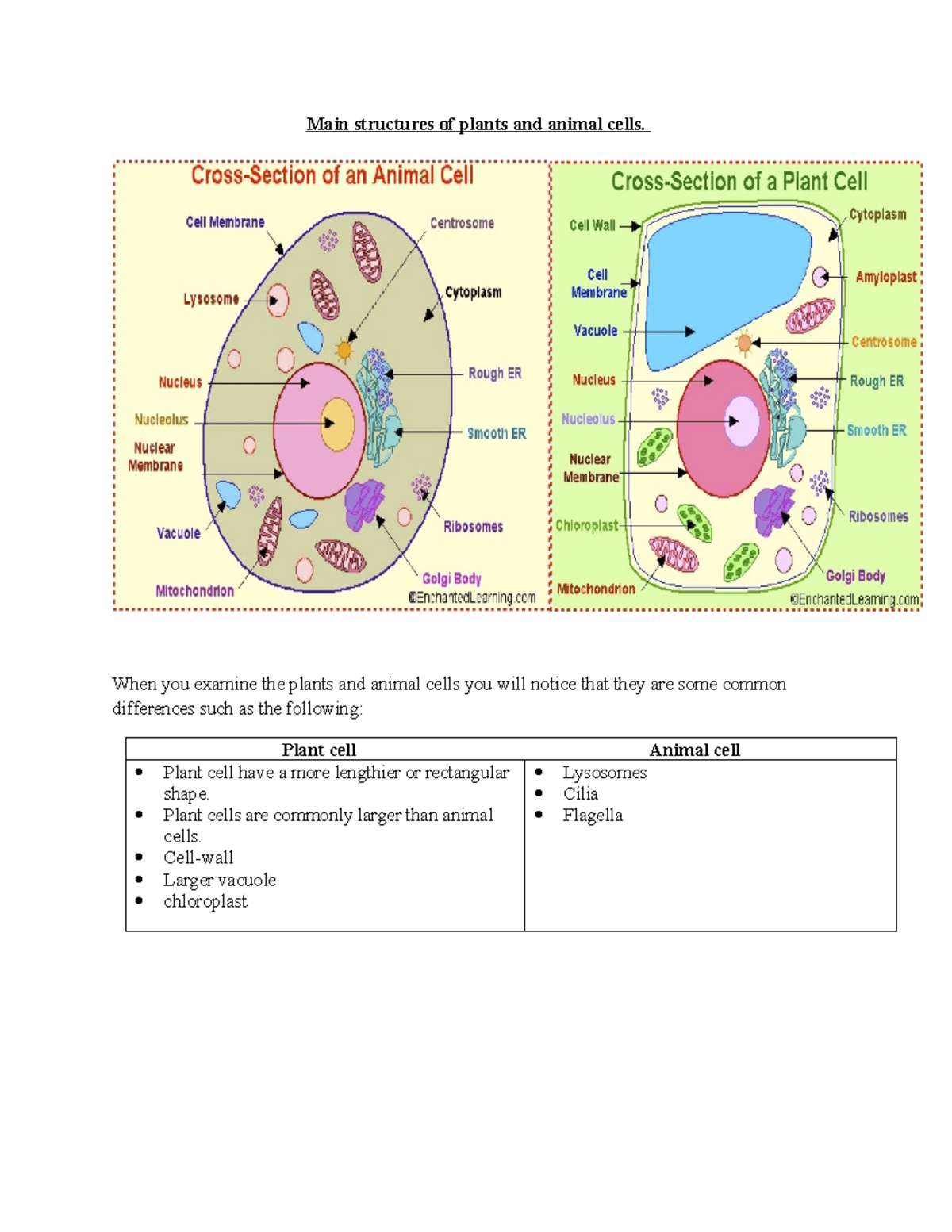 Plants and animal cells - Honey Bee Keeping - When you examine the ...