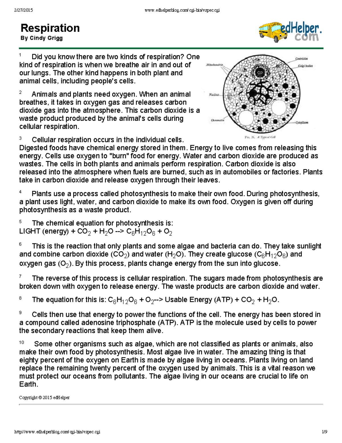 Cellular Respiration Packet (1) - Respiration By Cindy Grigg 1 Did you ...
