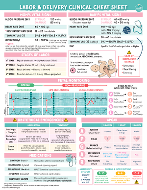 OB quiz #2 - notes - A nurse is teaching about fetal development to a ...