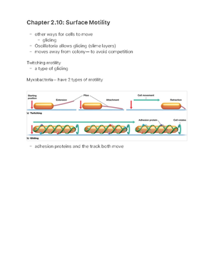 [Solved] explain redox tower - Microbiology (BIOL 306) - Studocu