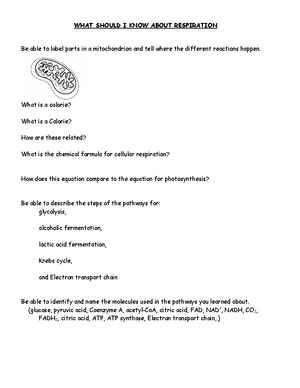 Cell defense worksheet -2 - iPad app Cell Defense The Plasma Membrane ...