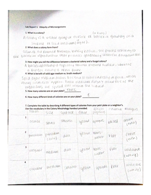 microbiology casestudy - Case Study # An Unknown Tropical Infection ...
