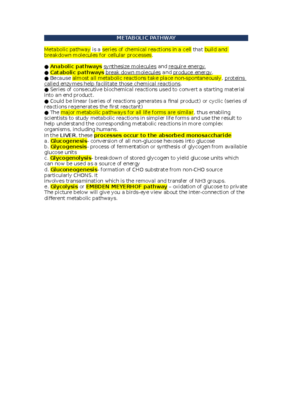 Metabolic Pathway - METABOLIC PATHWAY Metabolic pathway is a series of ...