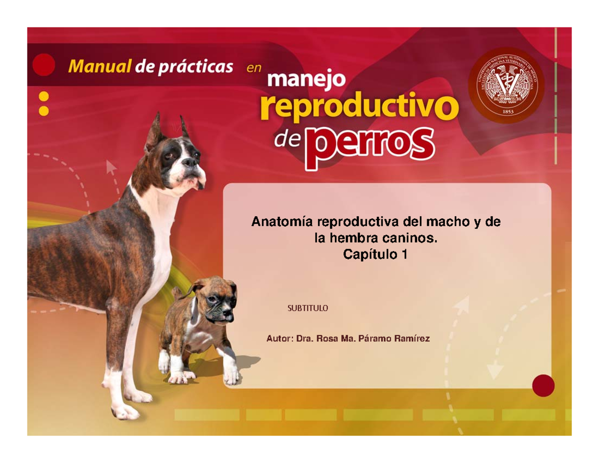 52 Reproduccion Perros - SUBTITULO Anatomía reproductiva del macho y de ...
