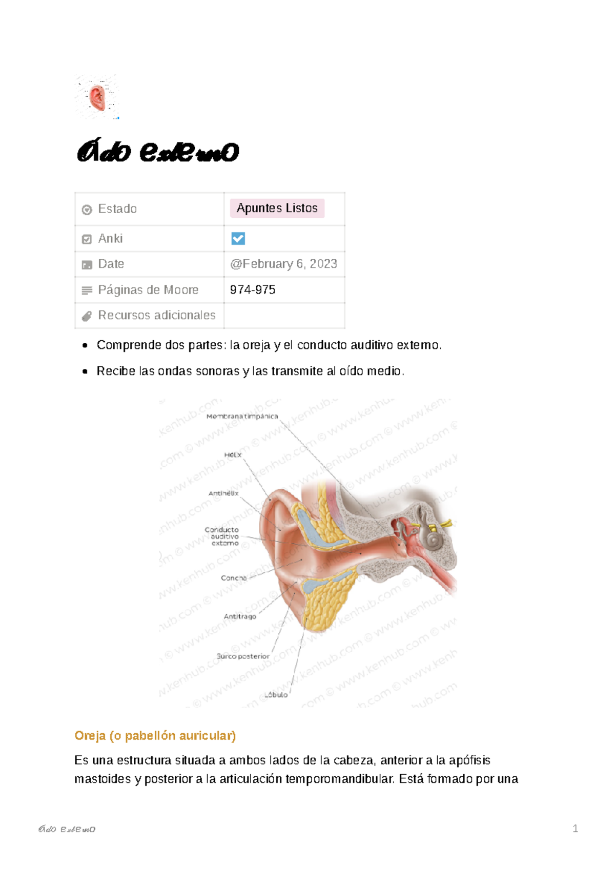 Oido Externo, irrigacion, inervacion y denaje linfatico - 𝒪í𝒹𝑜 𝑒𝓍𝓉𝑒𝓇𝓃𝑜 ...
