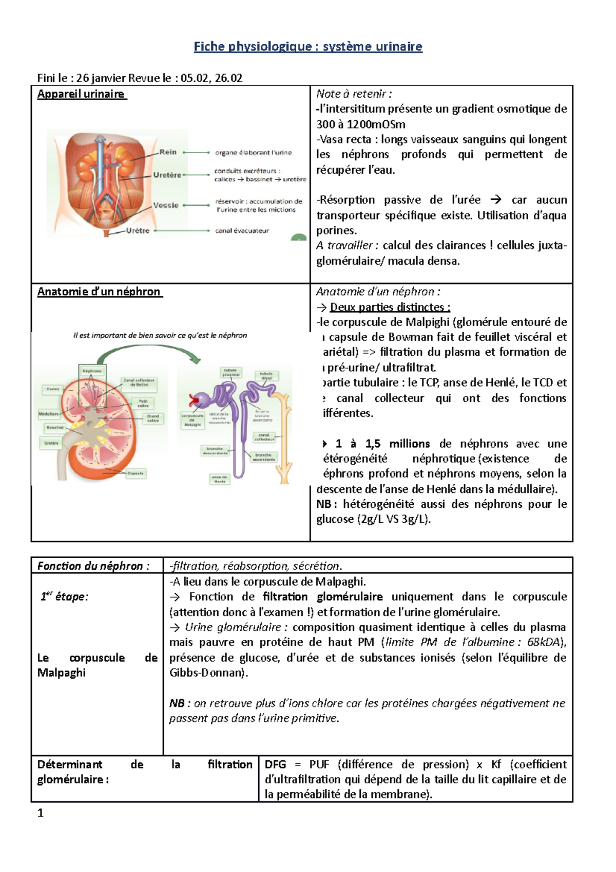 Fiche physiologique système urinaire - Appareil urinaire Note à retenir ...