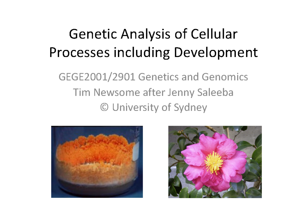 5 Genetic Analysis TN 2024 - Genetic Analysis of Cellular Processes ...