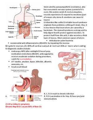 Skin Interactive Student Worksheet - BioInteractive Student Worksheet ...