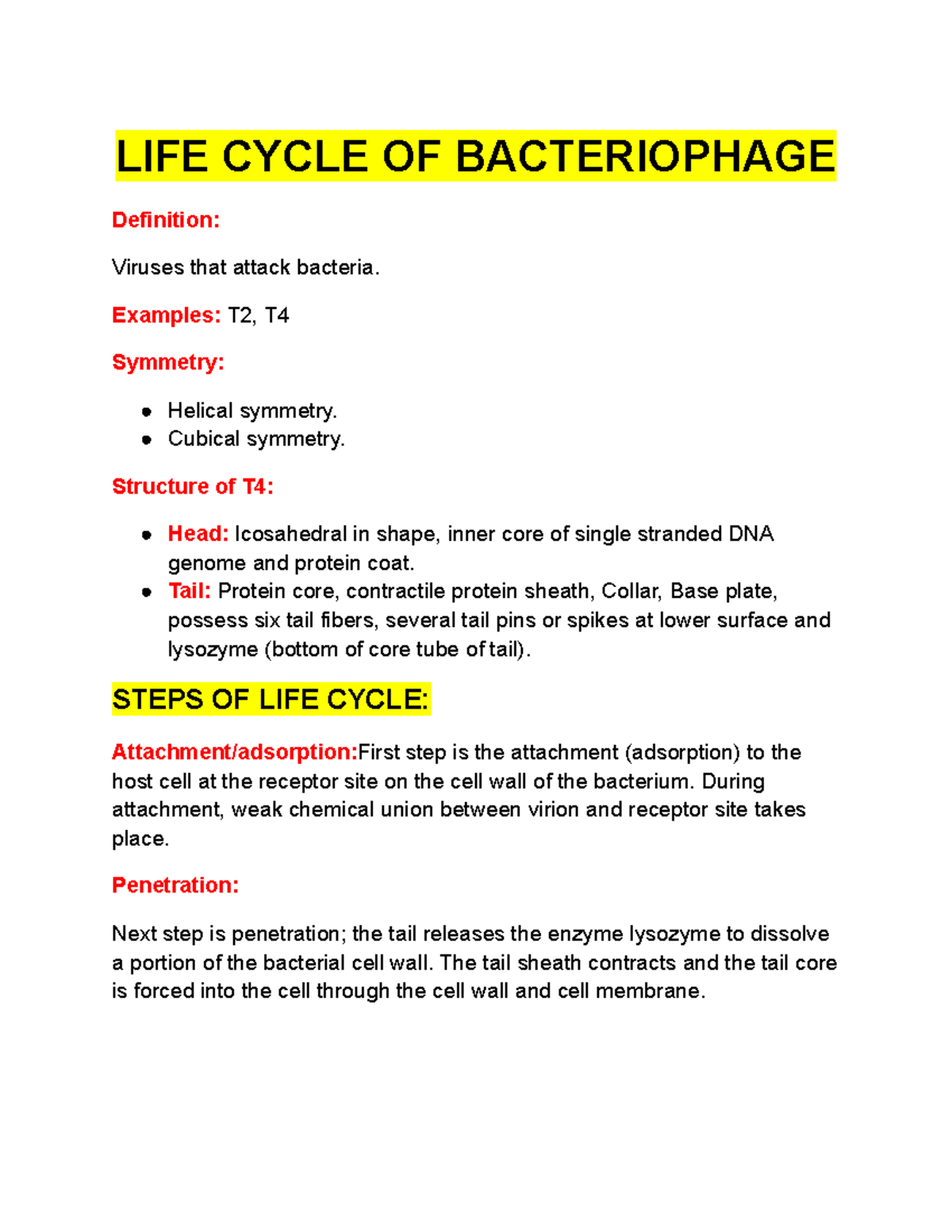 Life Cycle Of Bacteriophage Life Cycle Of Bacteriophage Definition Viruses That Attack