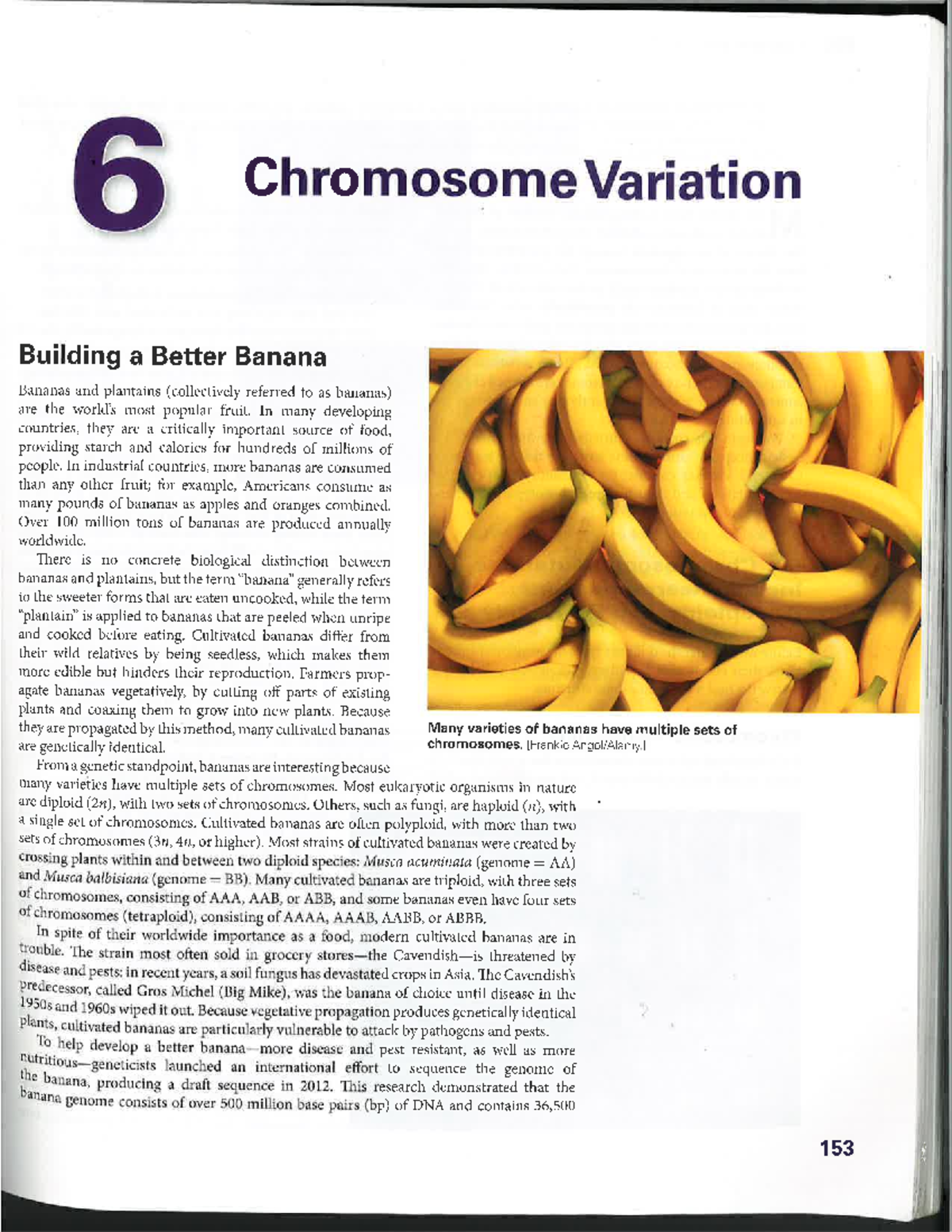 Chapter 5 Chromosome mutations, Aneuploidy and Polyploidy - ME2033 ...