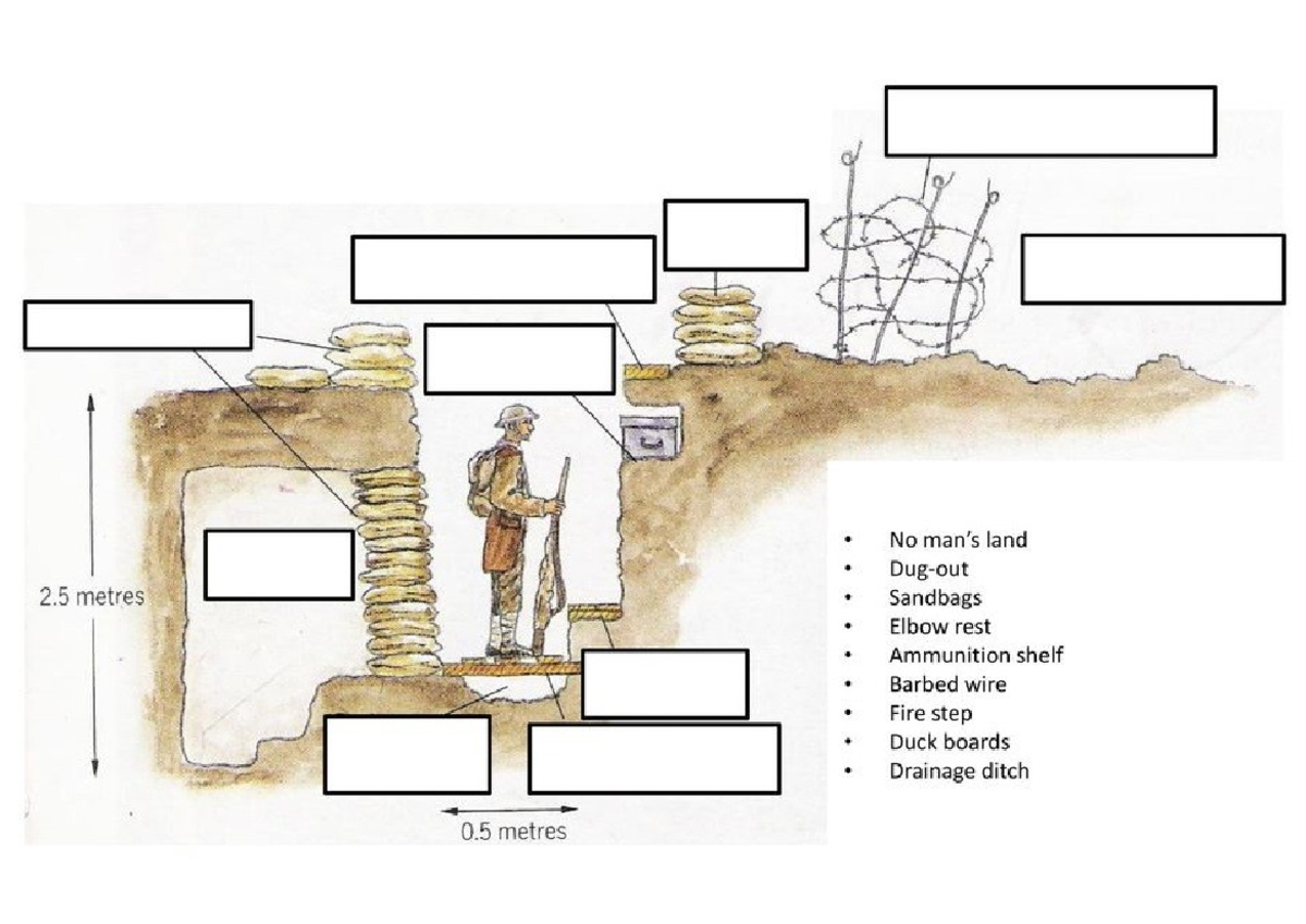 Trench Labelling Activity - HIST203 - Studocu