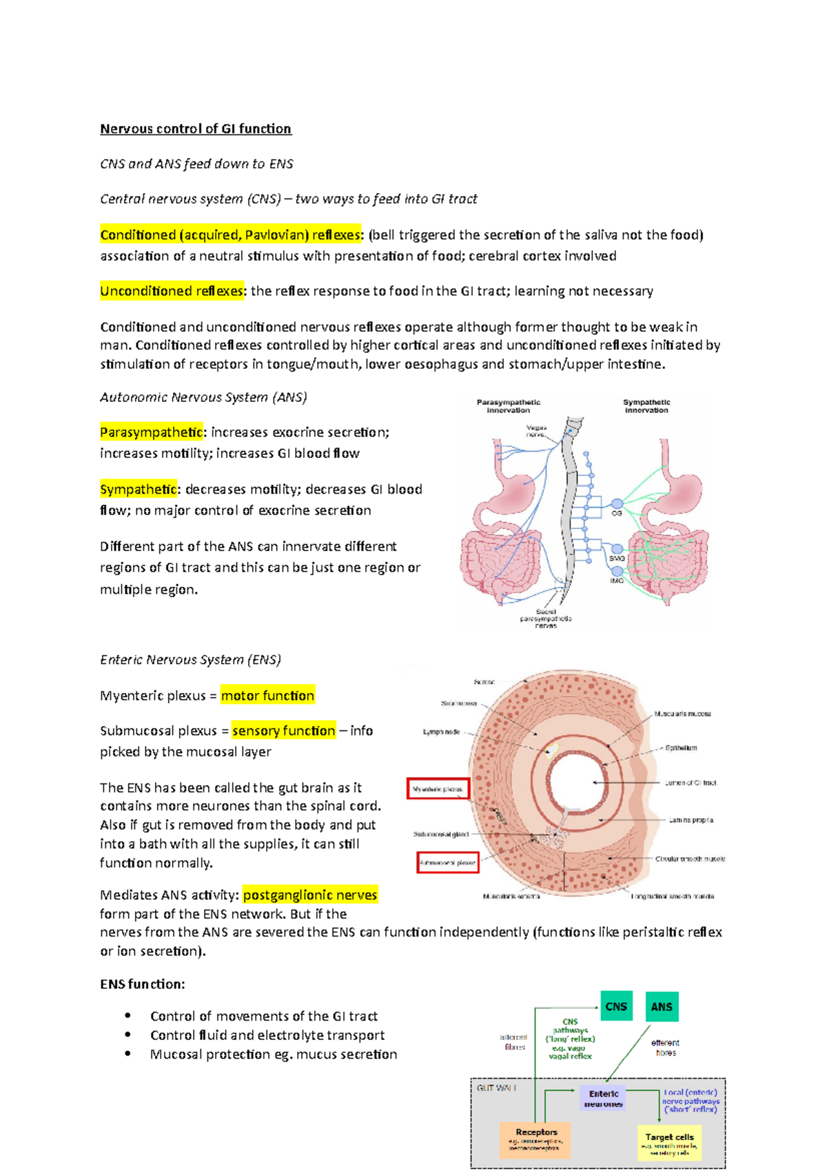 Nervous control of GI function - Conditioned reflexes controlled by ...