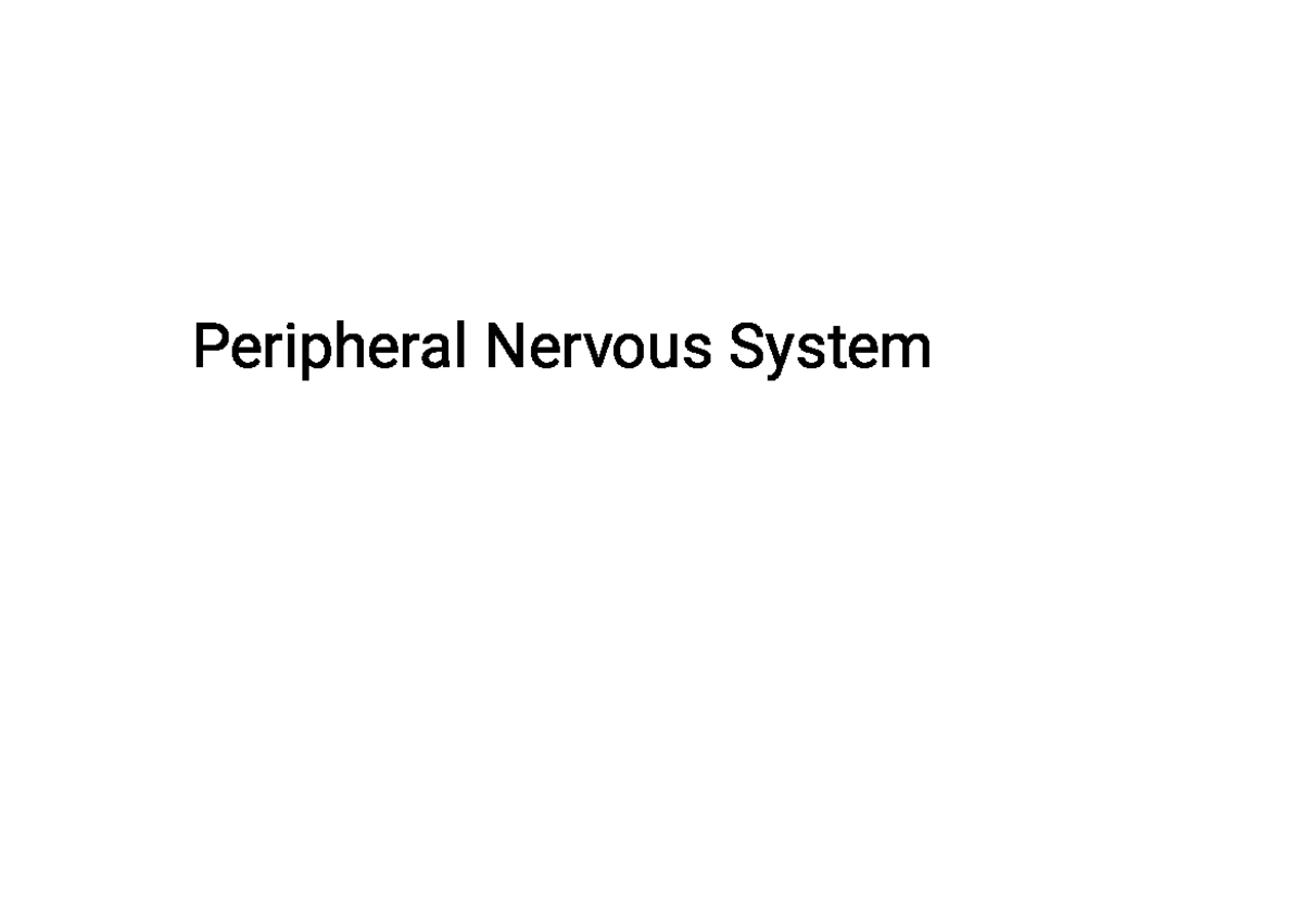 Ns peripheral Ns - Gdvucufjf - Peripheral Nervous System Lecture ...
