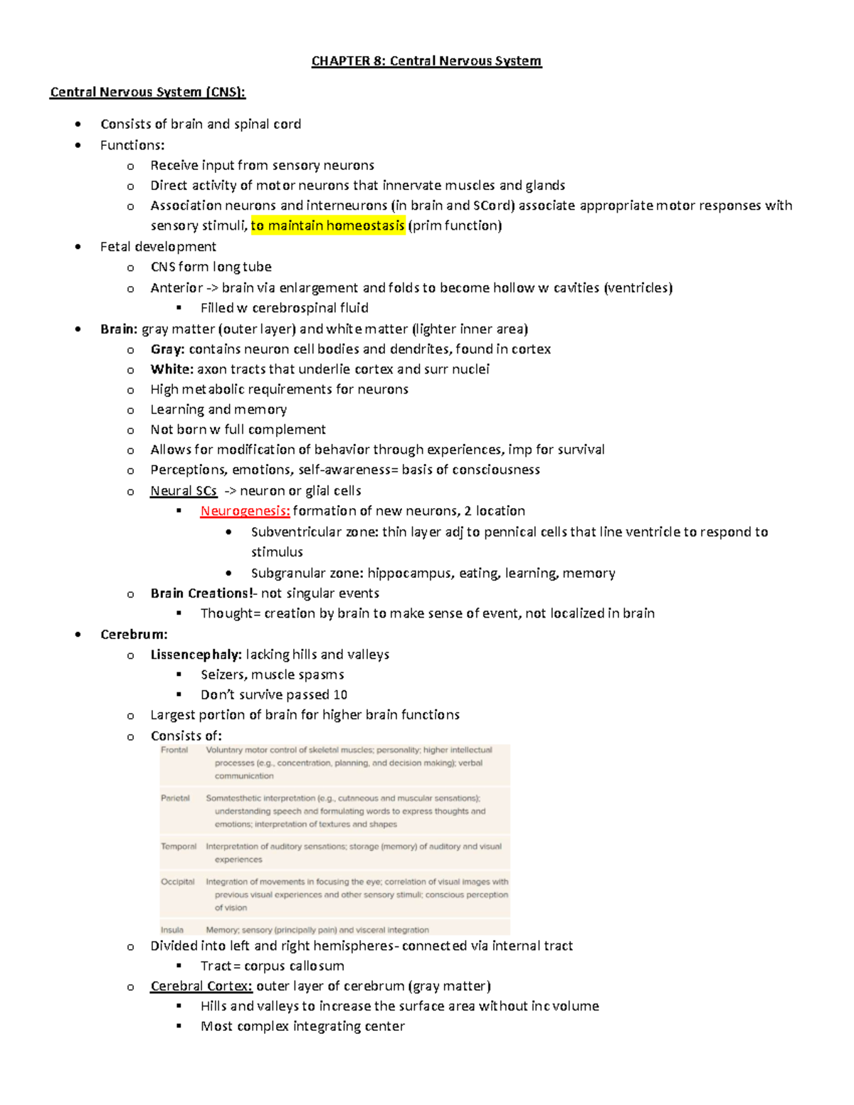 Physiology Chapter 8- CNS - CHAPTER 8: Central Nervous System Central Nervous System (CNS ...
