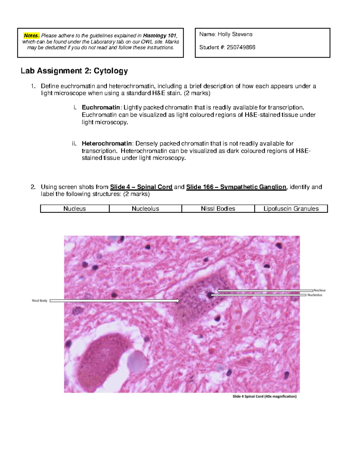 Lab Assignment 2 - Notes: Please adhere to the guidelines explained in ...