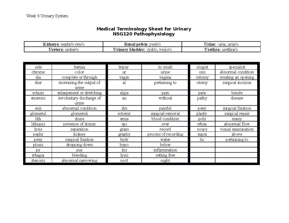 Module 8 Medical Terminology Sheet for Urinary System 2022 (1 ...