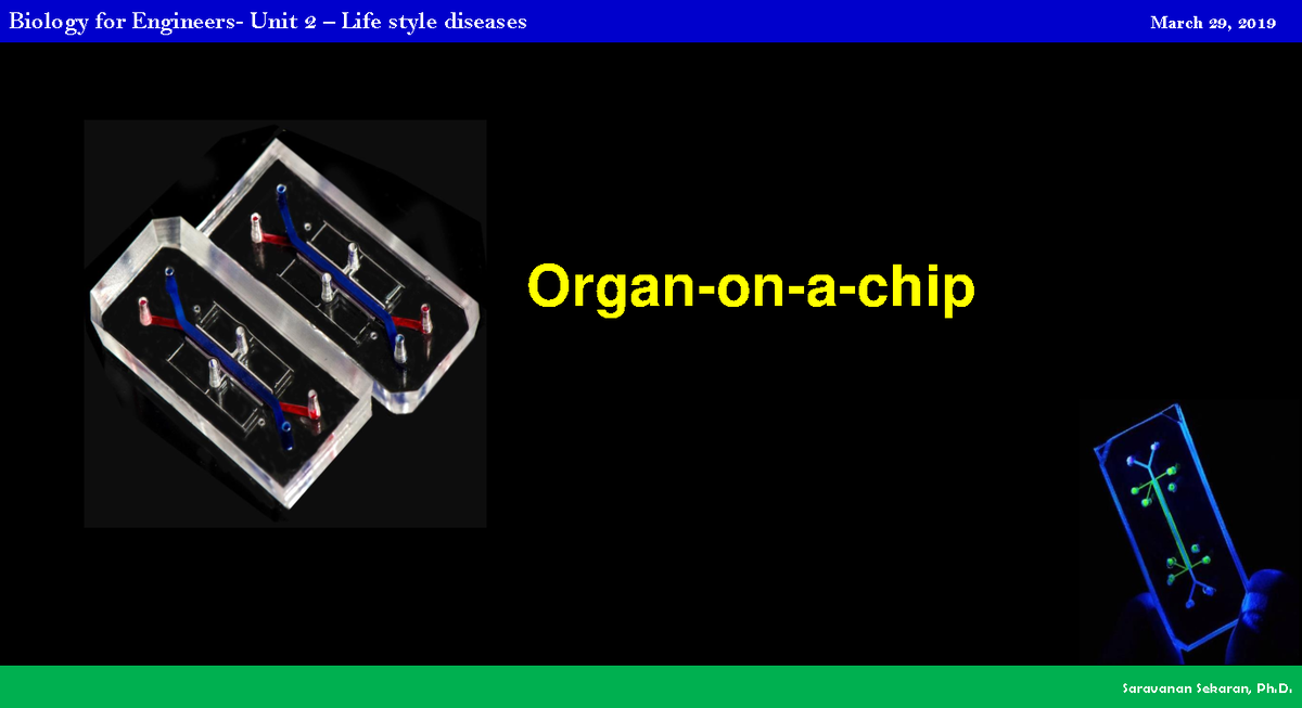 Organ on a chip SS - Organ-on-a-chip Clinical trials-testing for new ...