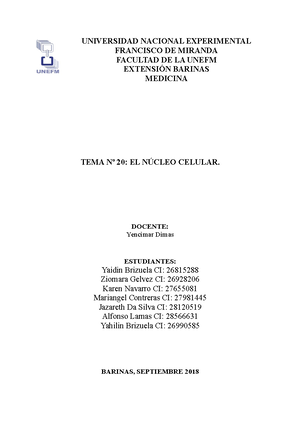 GUIA TEMA 6 - Morfo 2 - Victoria Sanchez - TEMA 6 MUSCULATURA DEL ...