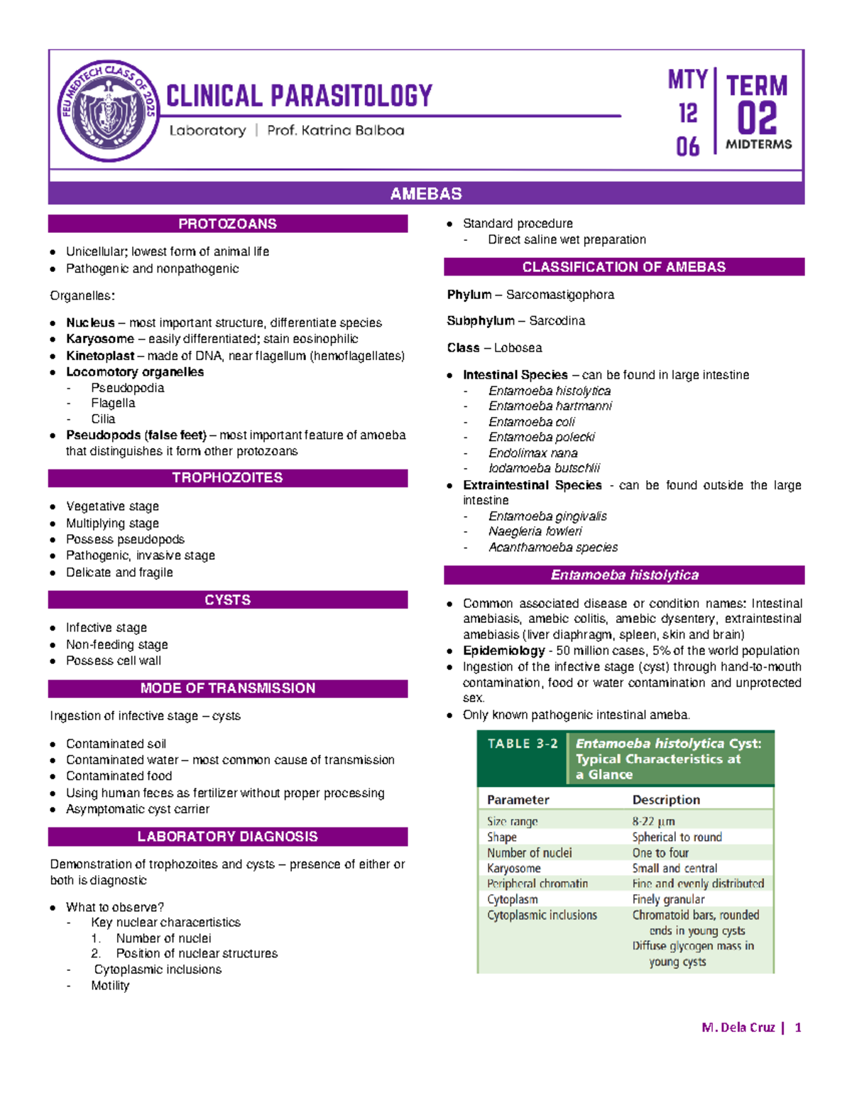 2 Amebas Amoeba Lesson Amebas Protozoans Unicellular Lowest Form