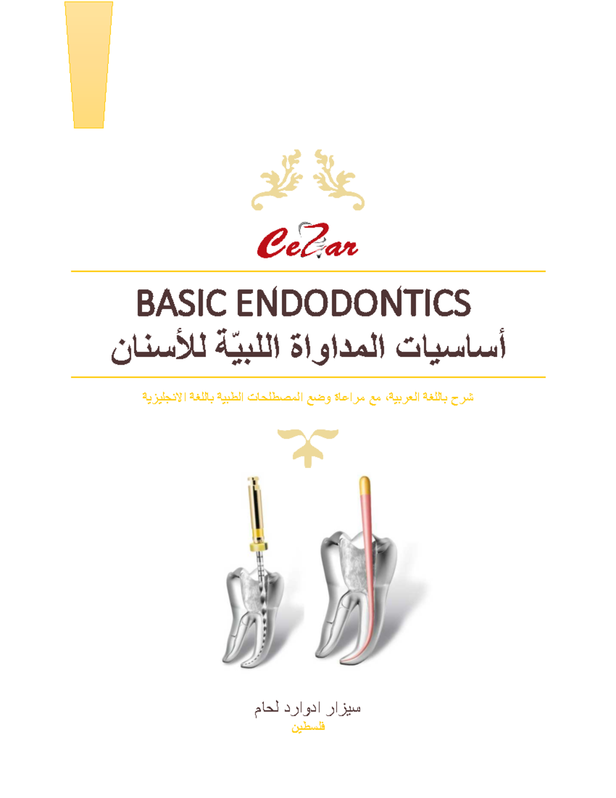 ملخص اندو - سيزار - Physiology - BASIC ENDODONTICS سنانة للأداواة اللبي أساسيات الم ةة الانجليزي ...